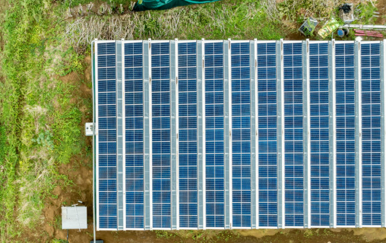 Our values – Corsica Sole